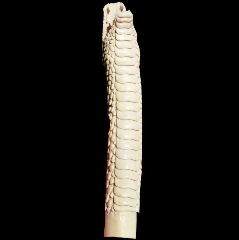 Hand-carved Antler Serpent Snake Dagger Handle