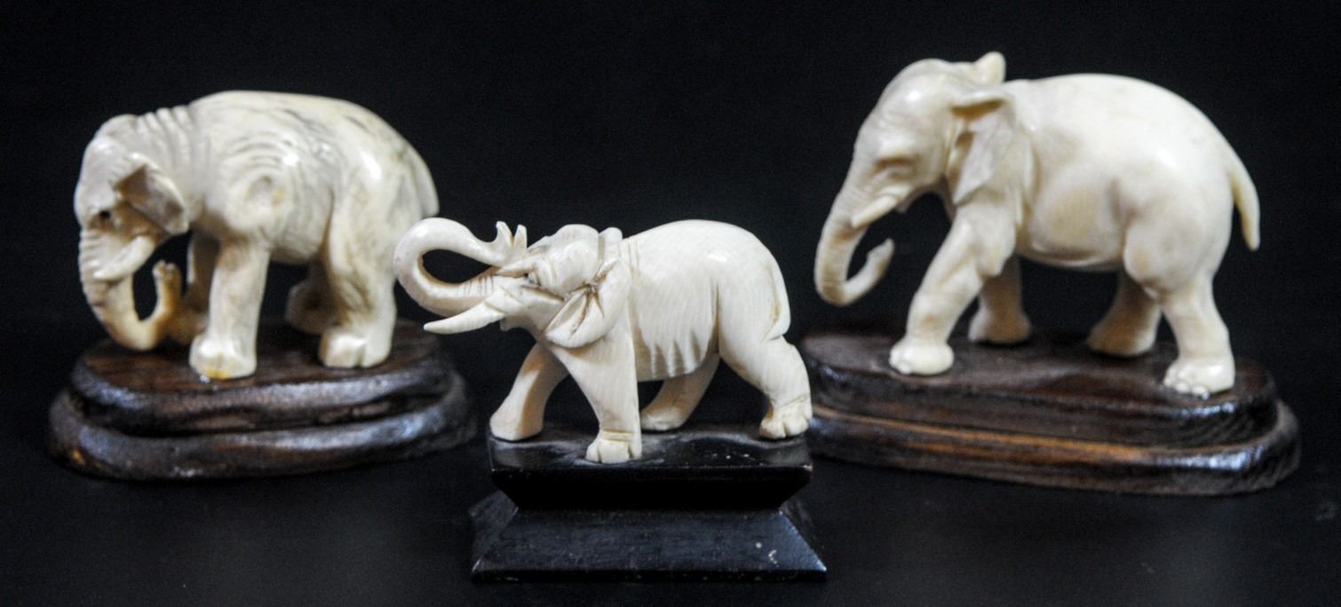 Collection of 3 carved ivory elephants