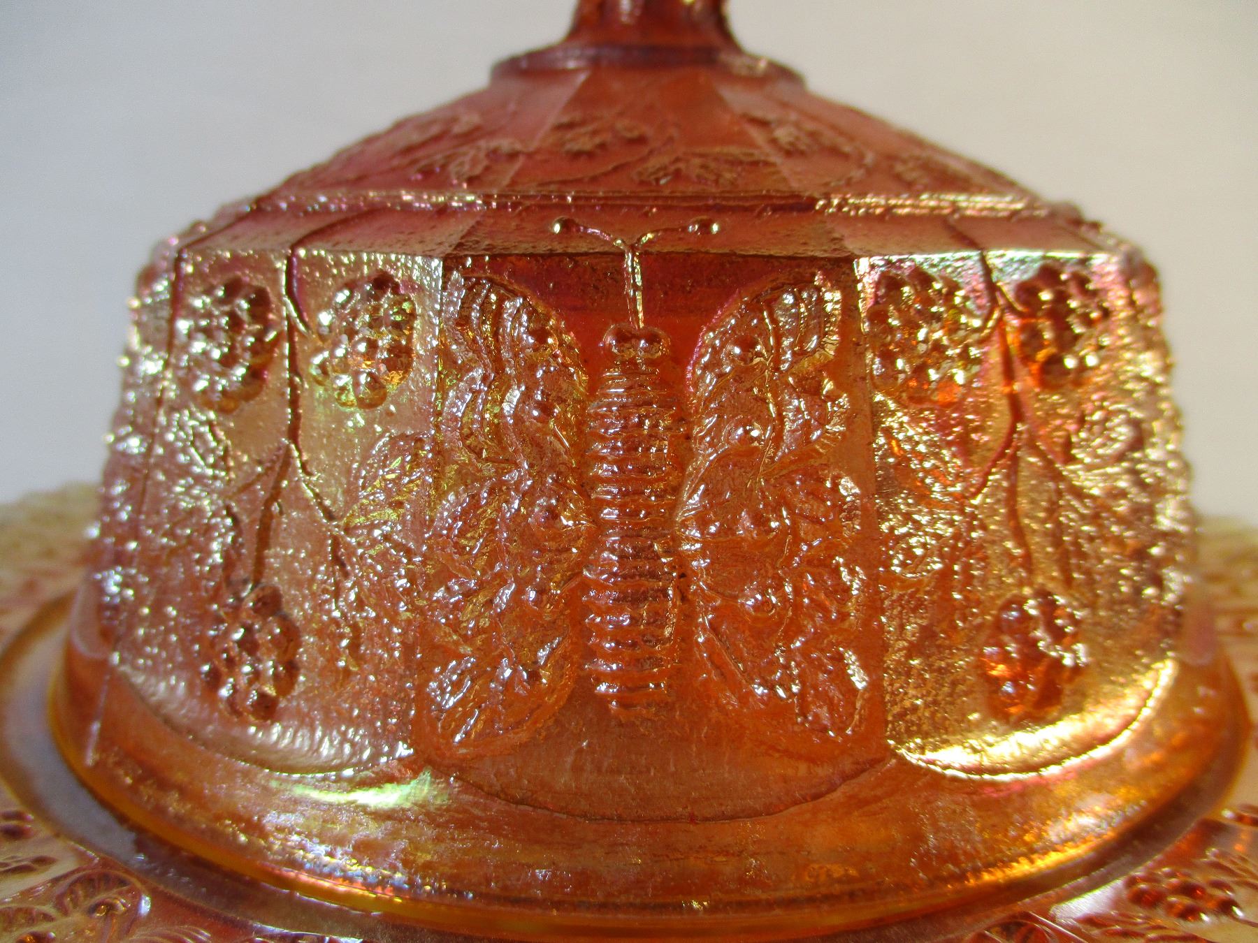 Marigold Carnival Glass Butterflies and Berries Butter Dish