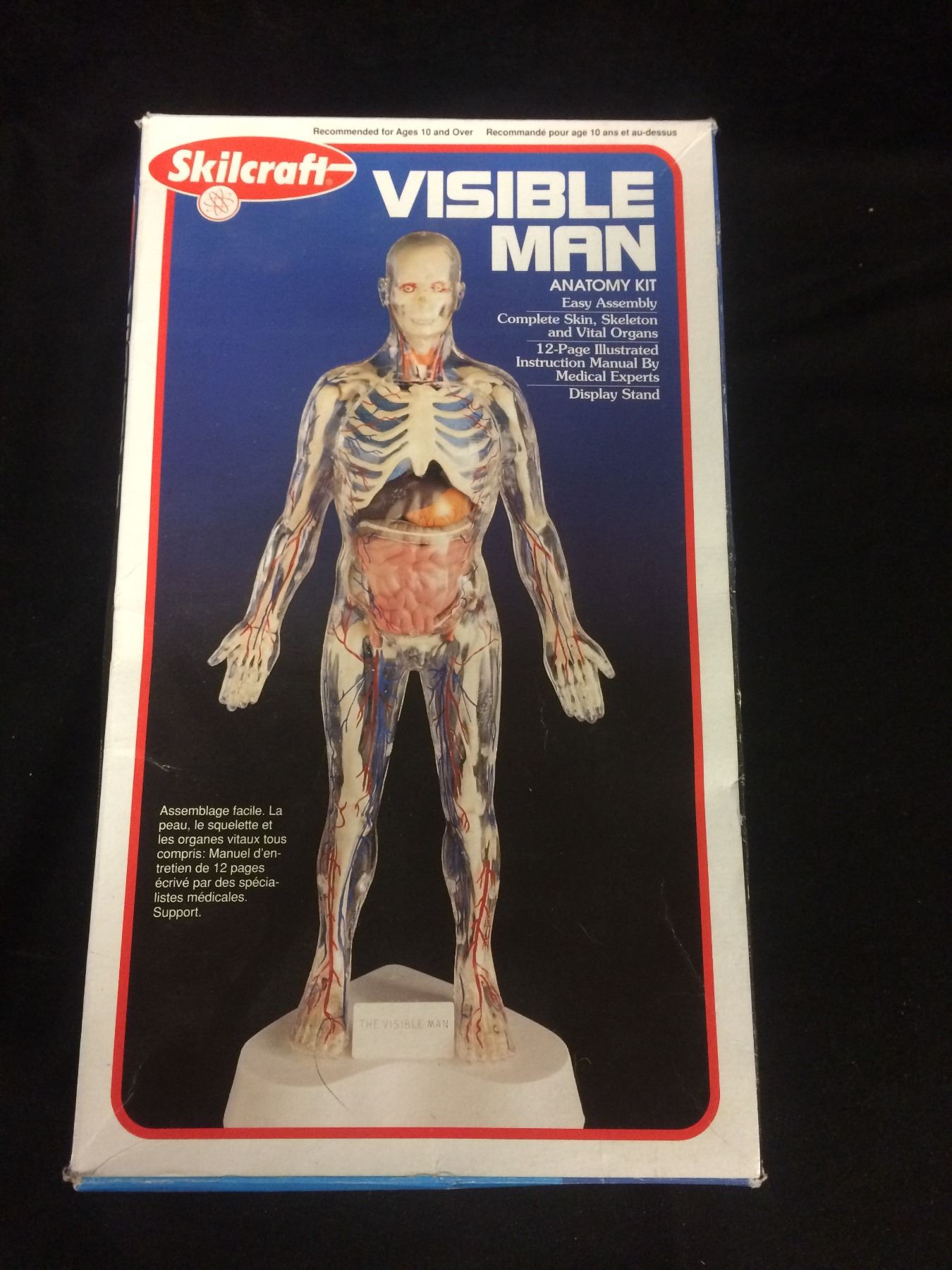 SKILCRAFT VISIBLE MAN ANATOMY KIT IN BOX