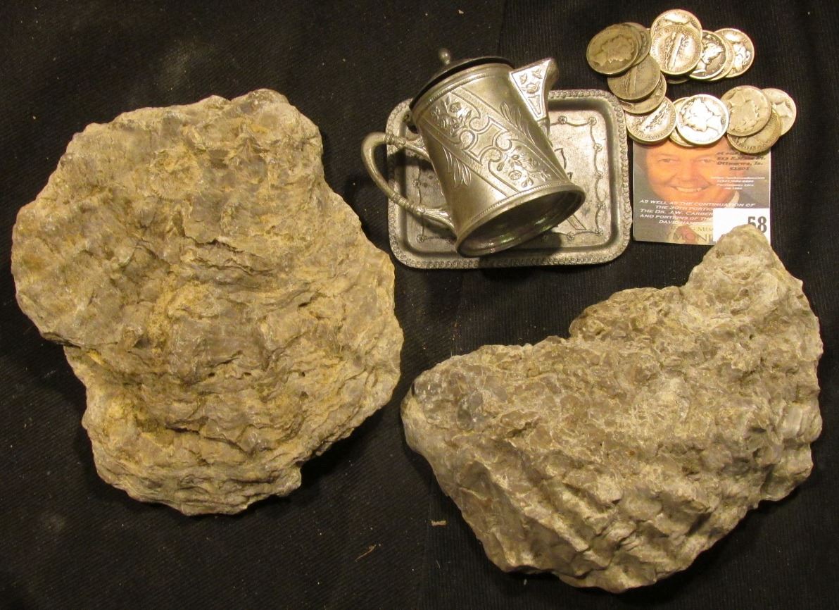 What appears to be a pair of Petrified Oyster Shells, were they used by ...