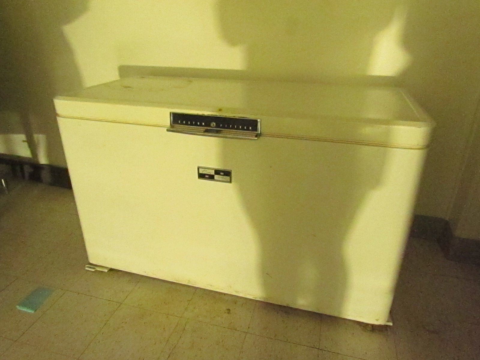 custom fifteen COOP freezer