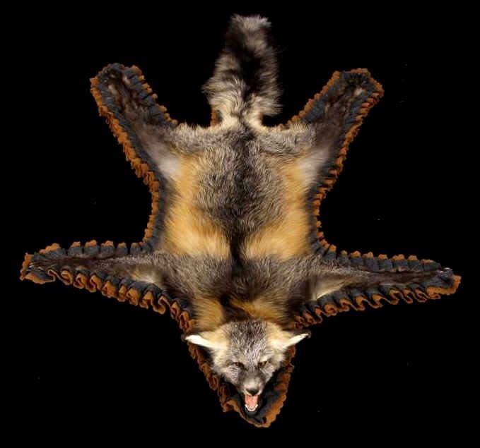 RARE Cross Fox Taxidermy Double-Felted Rug Mount