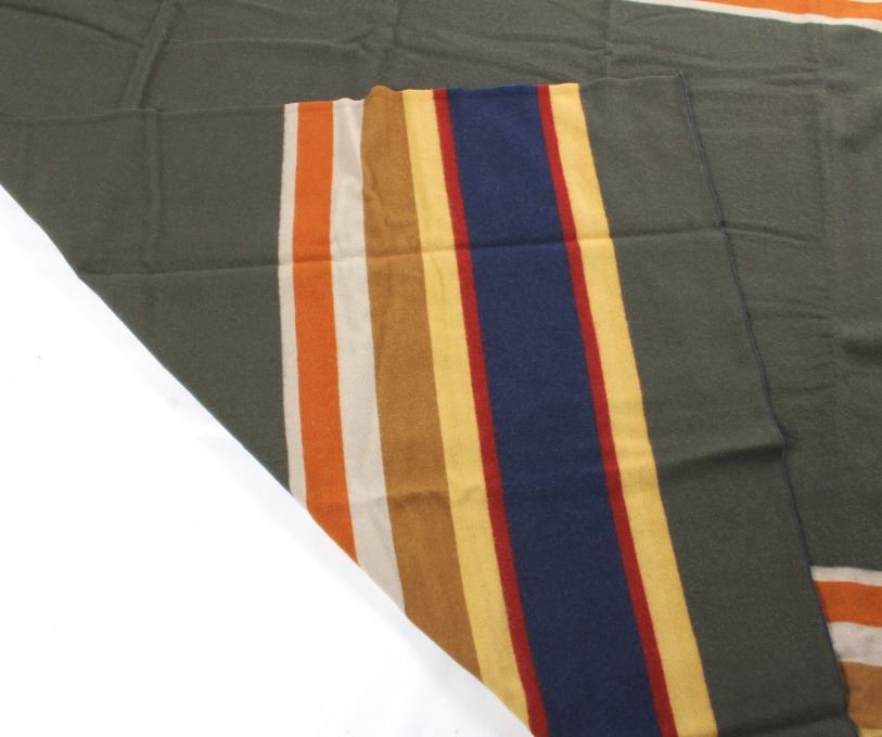 NEW Pendleton Badlands National Park Wool Blanket