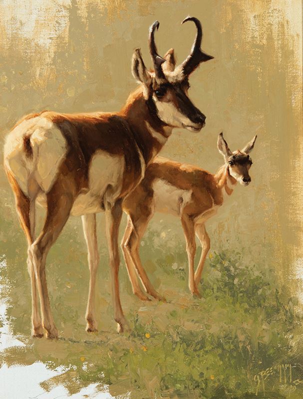 Greg Beecham -Two of a Kind