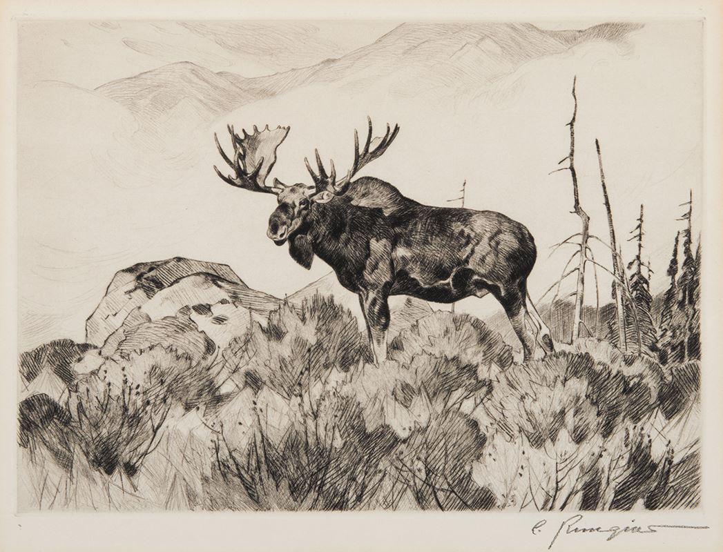 Carl Rungius -The Wanderer