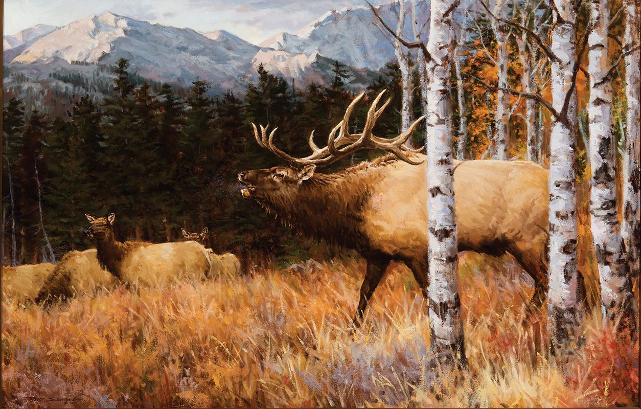 Ray Sexton -Autumn Elk