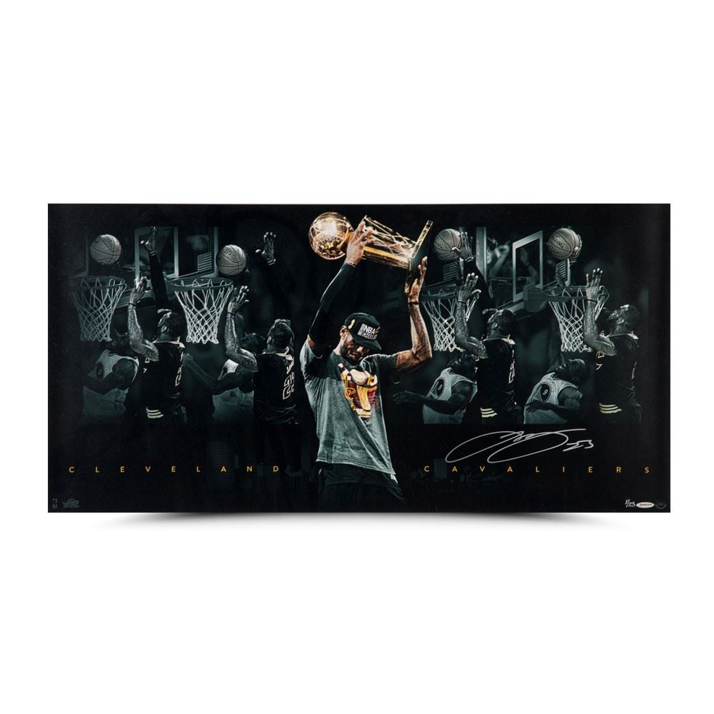 LeBron James Signed Cavaliers "Congratulations" 18x36 Custom Framed ...