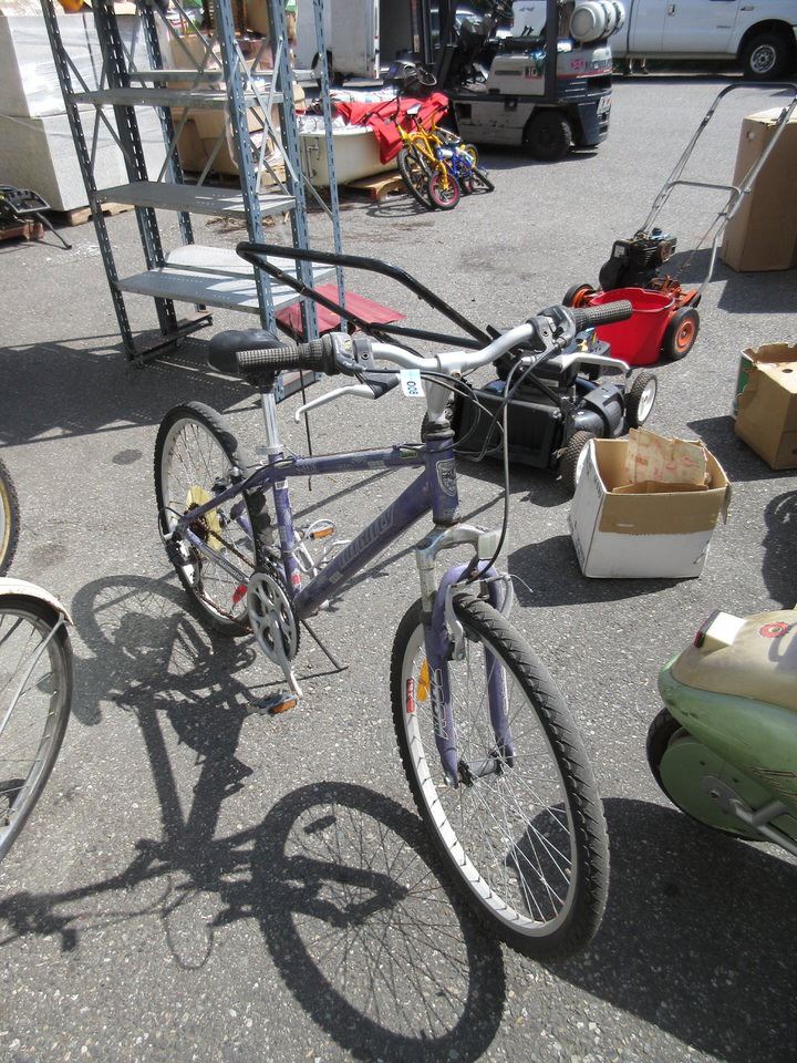 21 Speed Infinity "Breeze" Mountain Bike