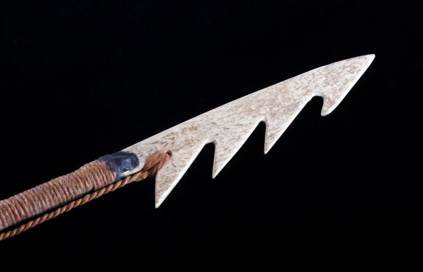 Northwest Coast Native American Fishing Arrow