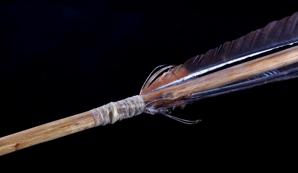 Northern Plains Indian Arrow Collection