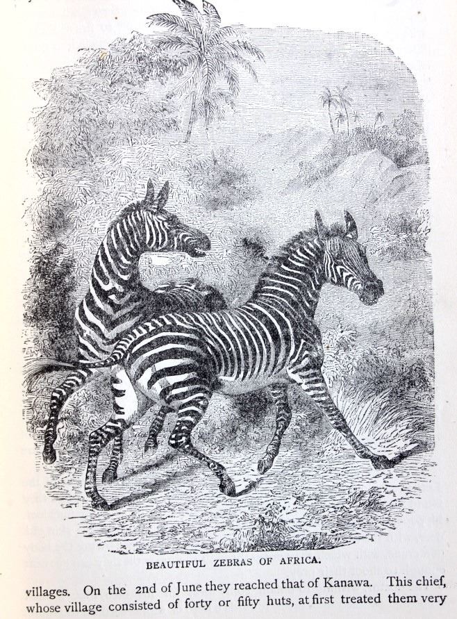 Explorations and Adventures of Henry Stanley 1889