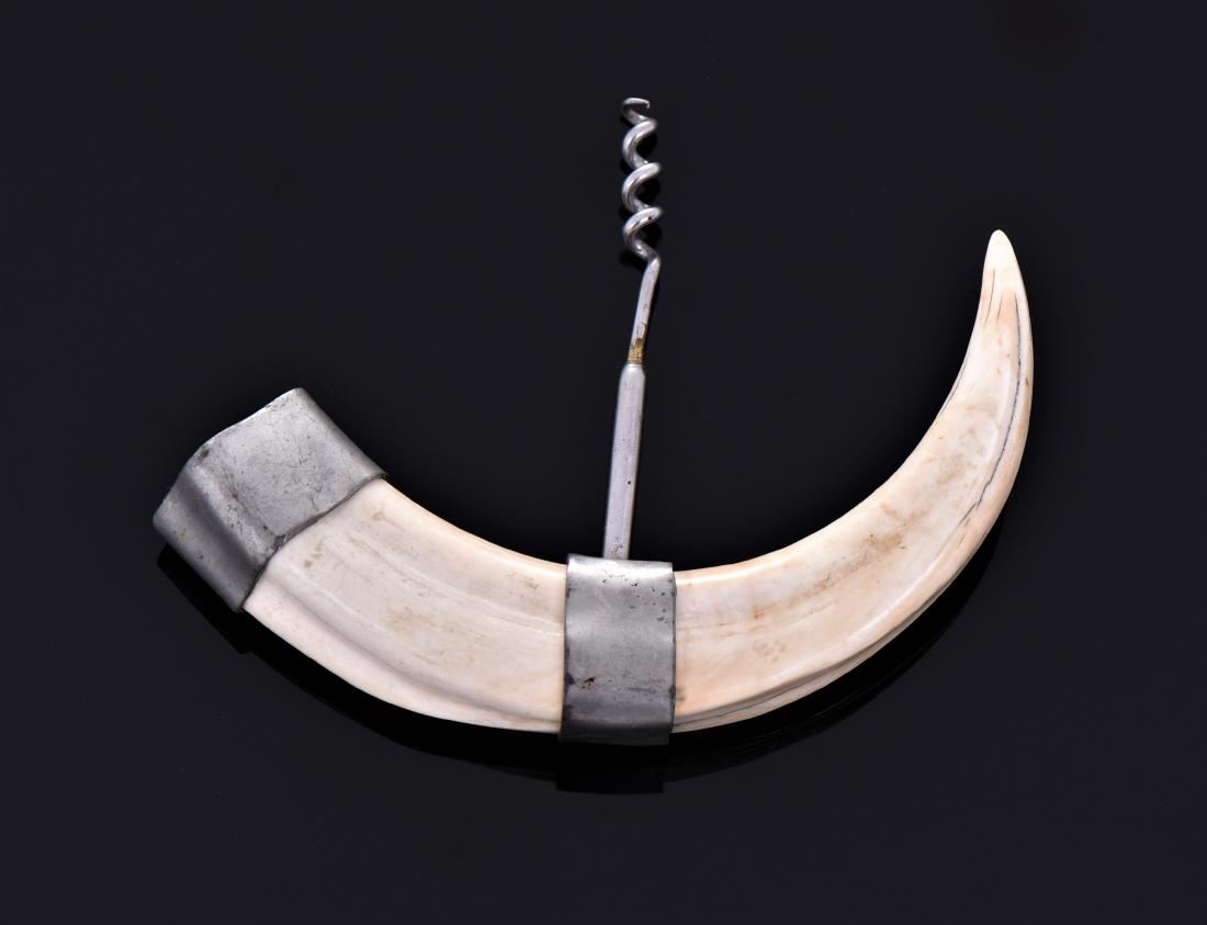 7 Inch Boar Tusk Wine Cork Screw, 1940's
