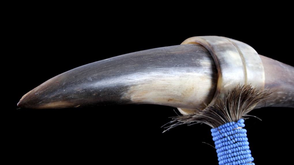 Plains Native American Buffalo Horn Dance Wands