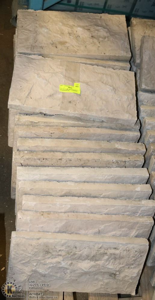 LOT OF 20 CONCRETE STEPPING STONES/BORDER