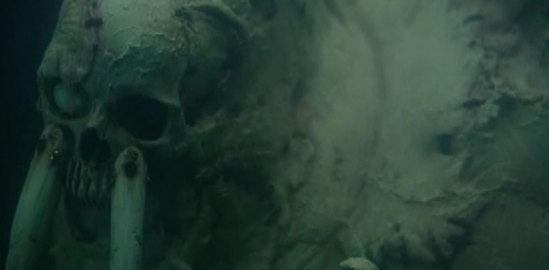 Tusk (2014) - Screen Used Dead Walrus Prop