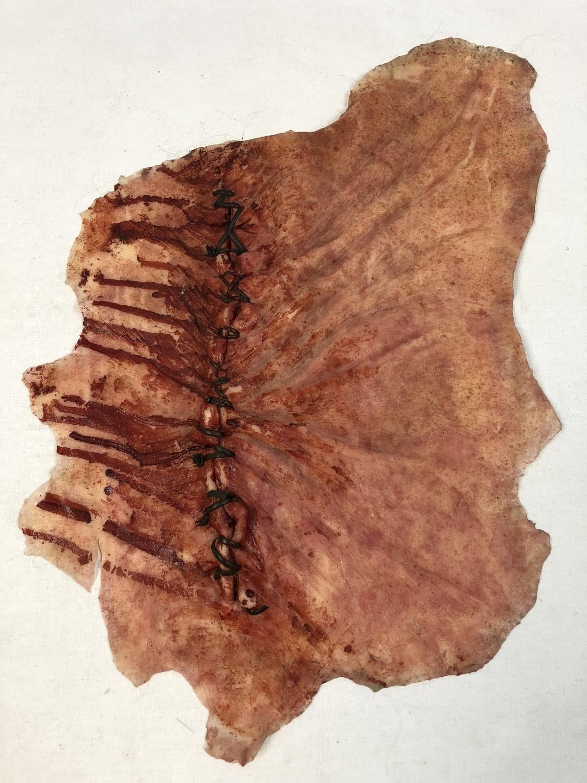 Tusk (2014) - Justin Long Screen Used Walrus Skin Appliance