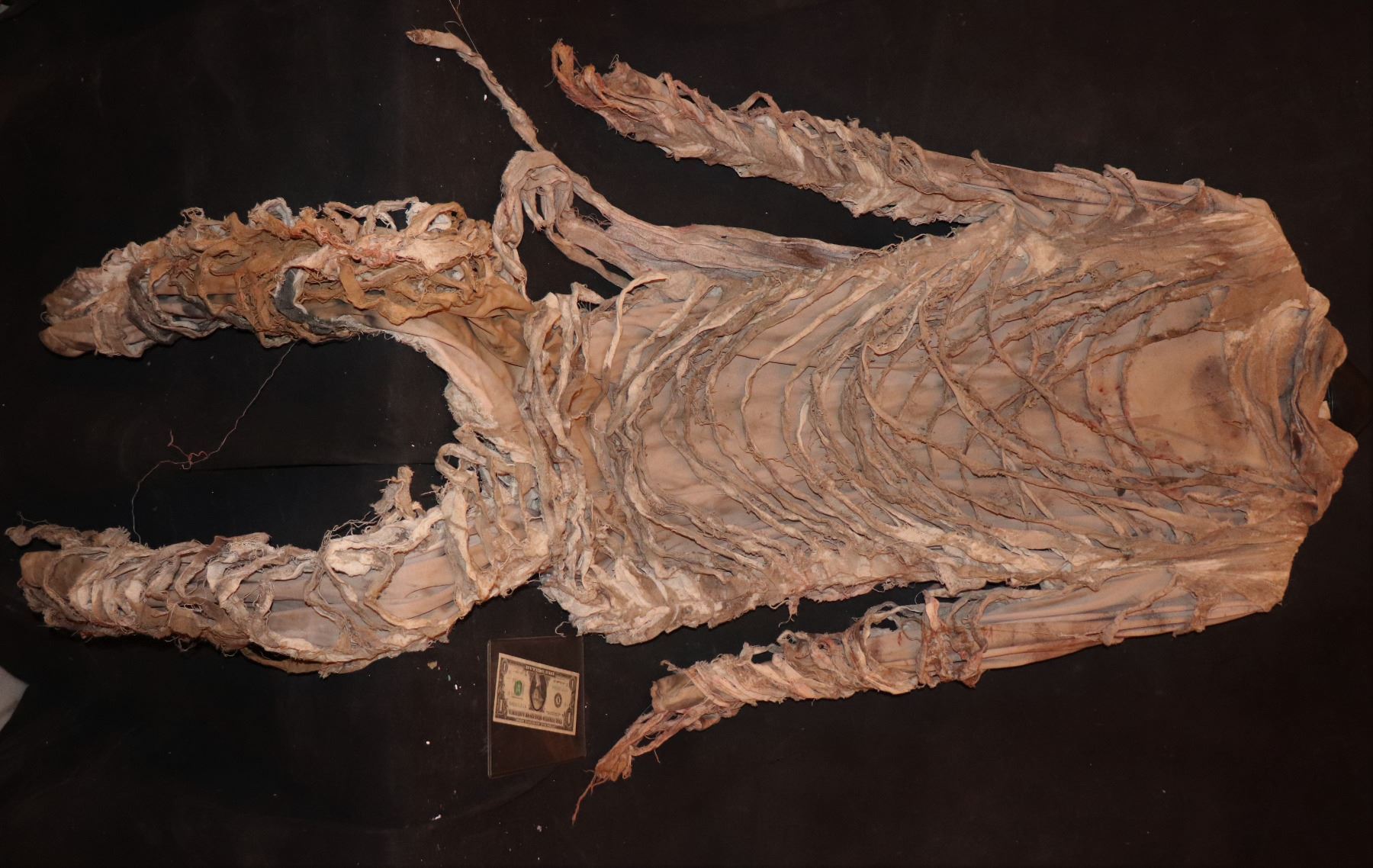 MUMMY ANCIENT EGYPTIAN CORPSE COMPLETE BODYSUIT COSTUME 1