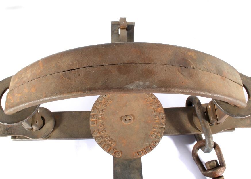 Newhouse No.6 ATC Bear Trap Cast w/o Teeth