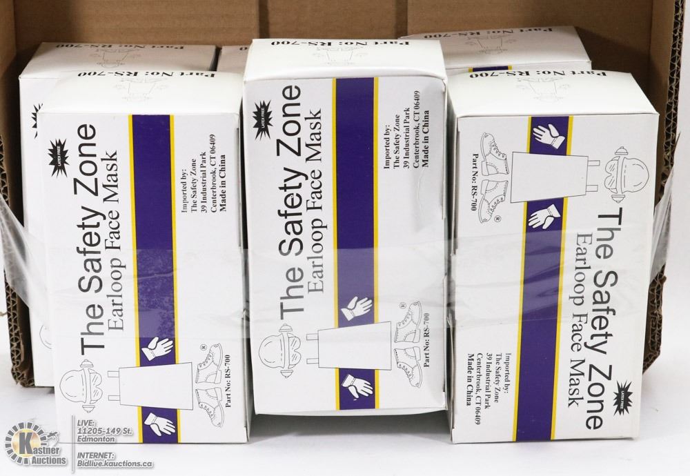 6 BOXES OF SAFETY ZONE EARLOOP FACE MASKS