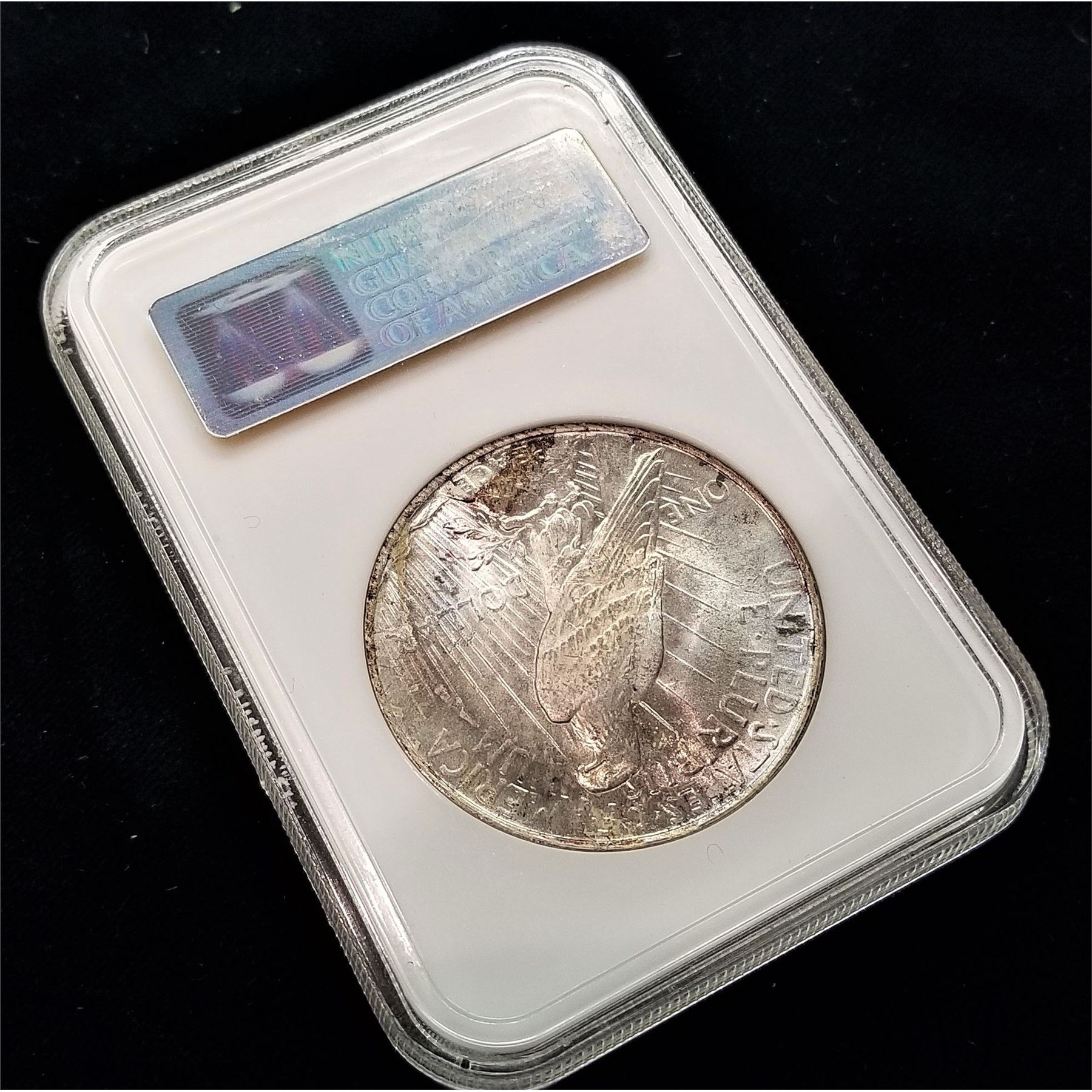 1923 S$1 MS64 NGC RARE RAINBOW TONED PEACE DOLLAR