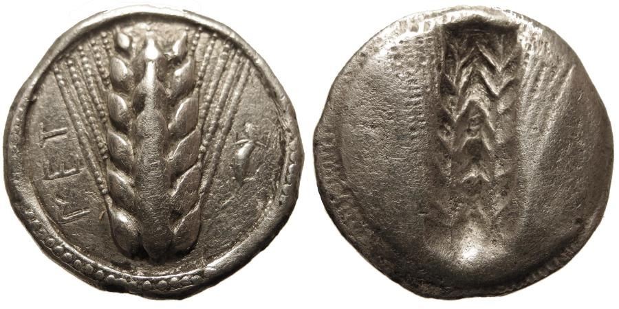 ANCIENT GREEK. Lucania, Metapontum. AR Nomos. Ear of Barley.