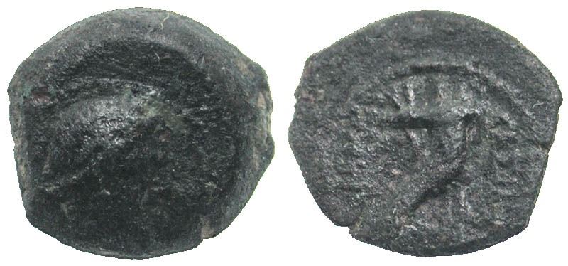 ANCIENT GREEK. Ptolemaic Kingdom of Egypt, Cleopatra VII, Philopater ...
