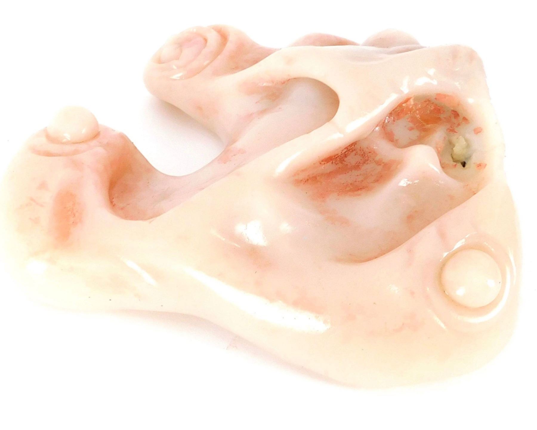 eXistenZ (1999) - Original Pod & Cord - Jude Law & Jennifer Jason Leigh