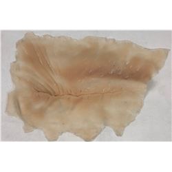 Tusk (2014) - Justin Long Walrus Skin Appliance (Backup)