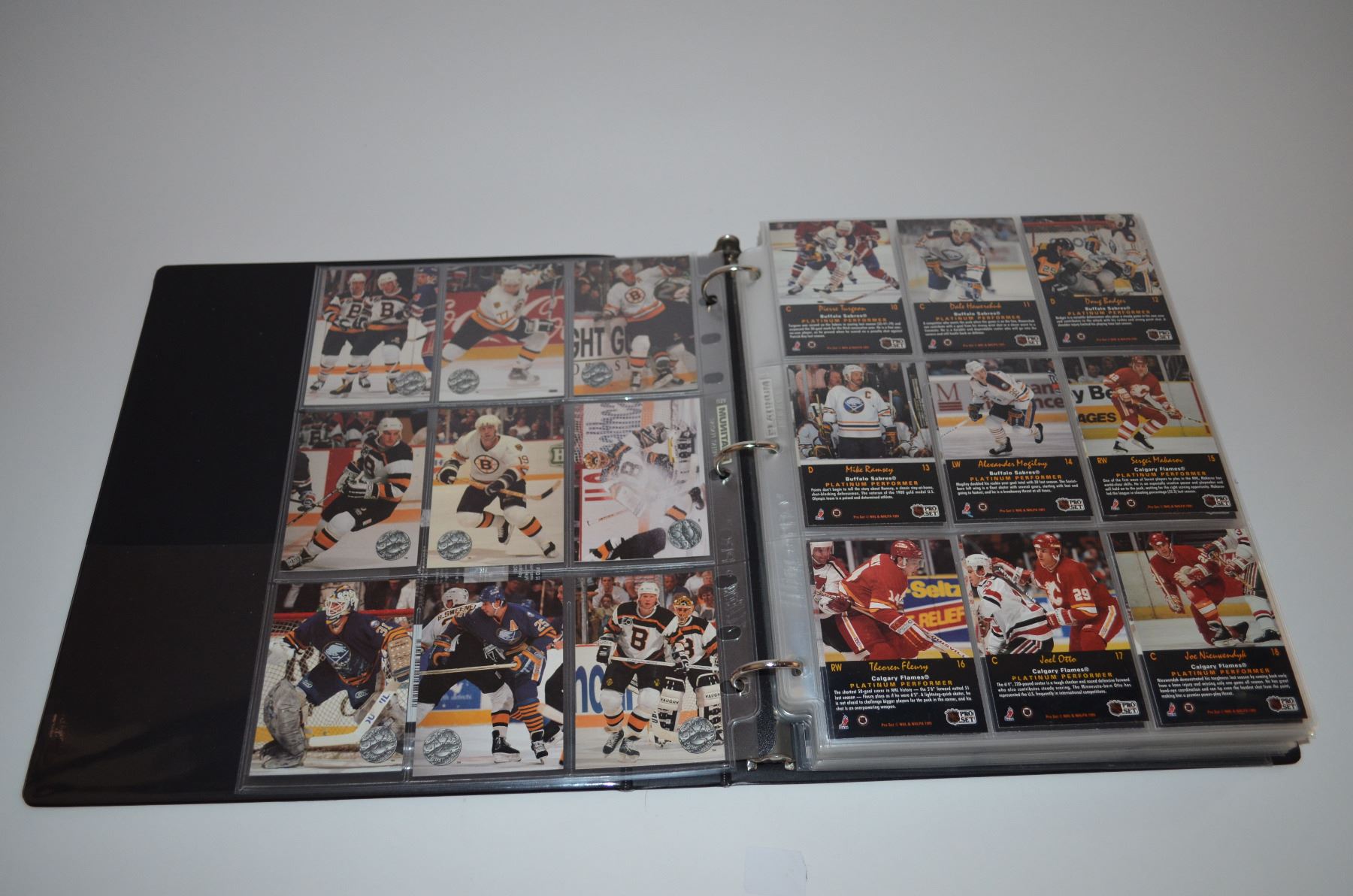 Binder - 1991-92 Pro Set Platinum
