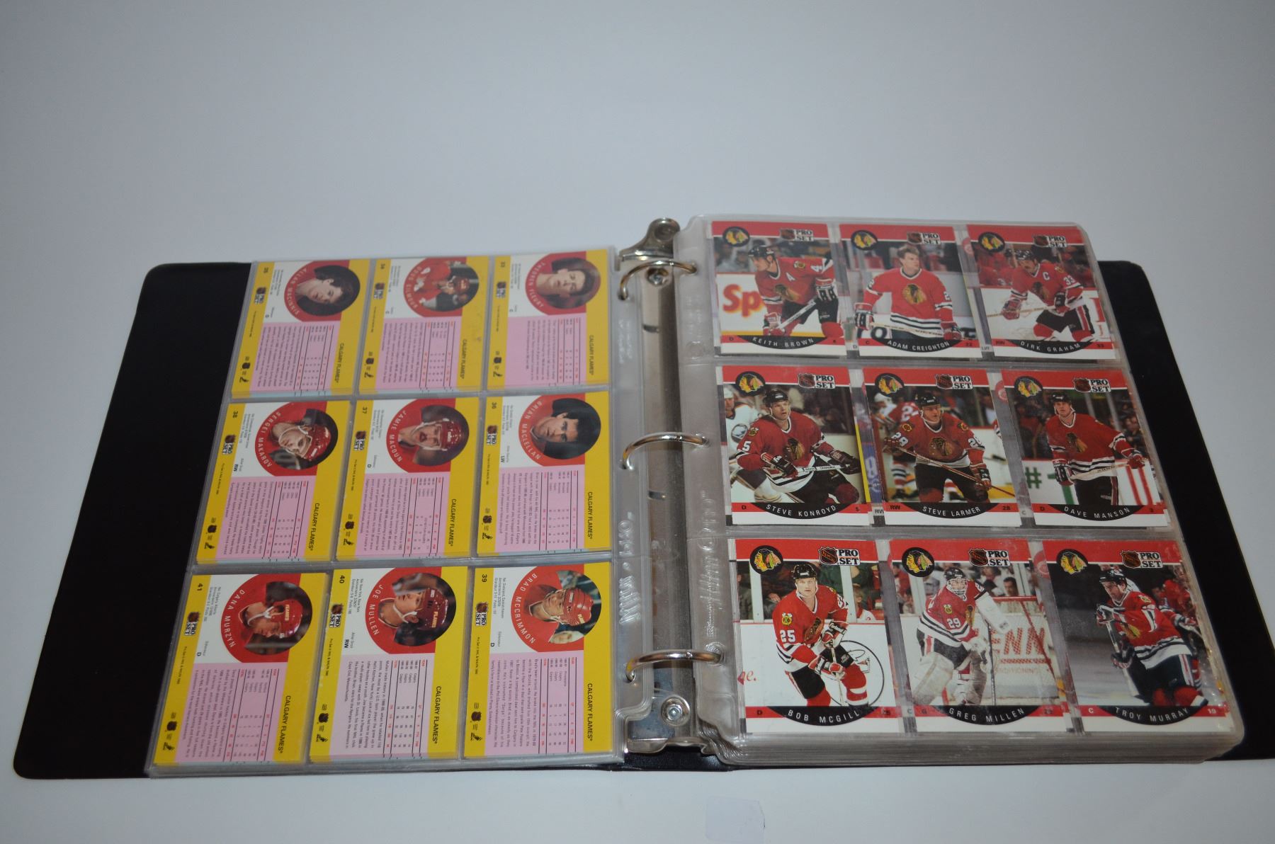 Binder - 1990-91 Pro Set