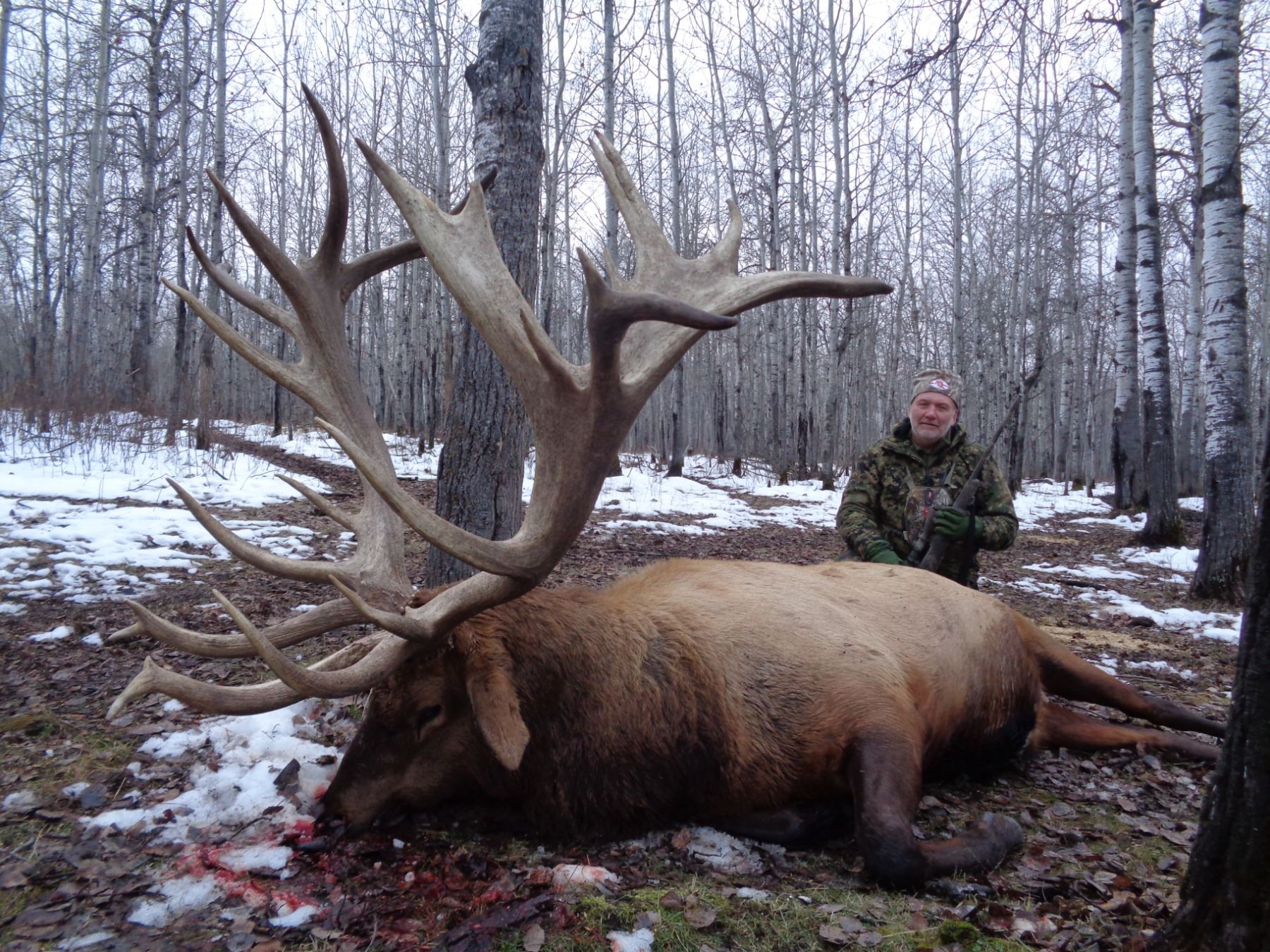 3 Days 4 Nights Trophy Elk Hunt For 2 Hunters In Saskatchewan Canada 3-days-4-nights-trophy-elk-hunt-for-2-hunters-in-saskatchewan-canada