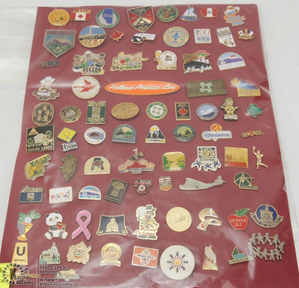 SHEET OF 80 VARIOUS COLLECTOR PINS