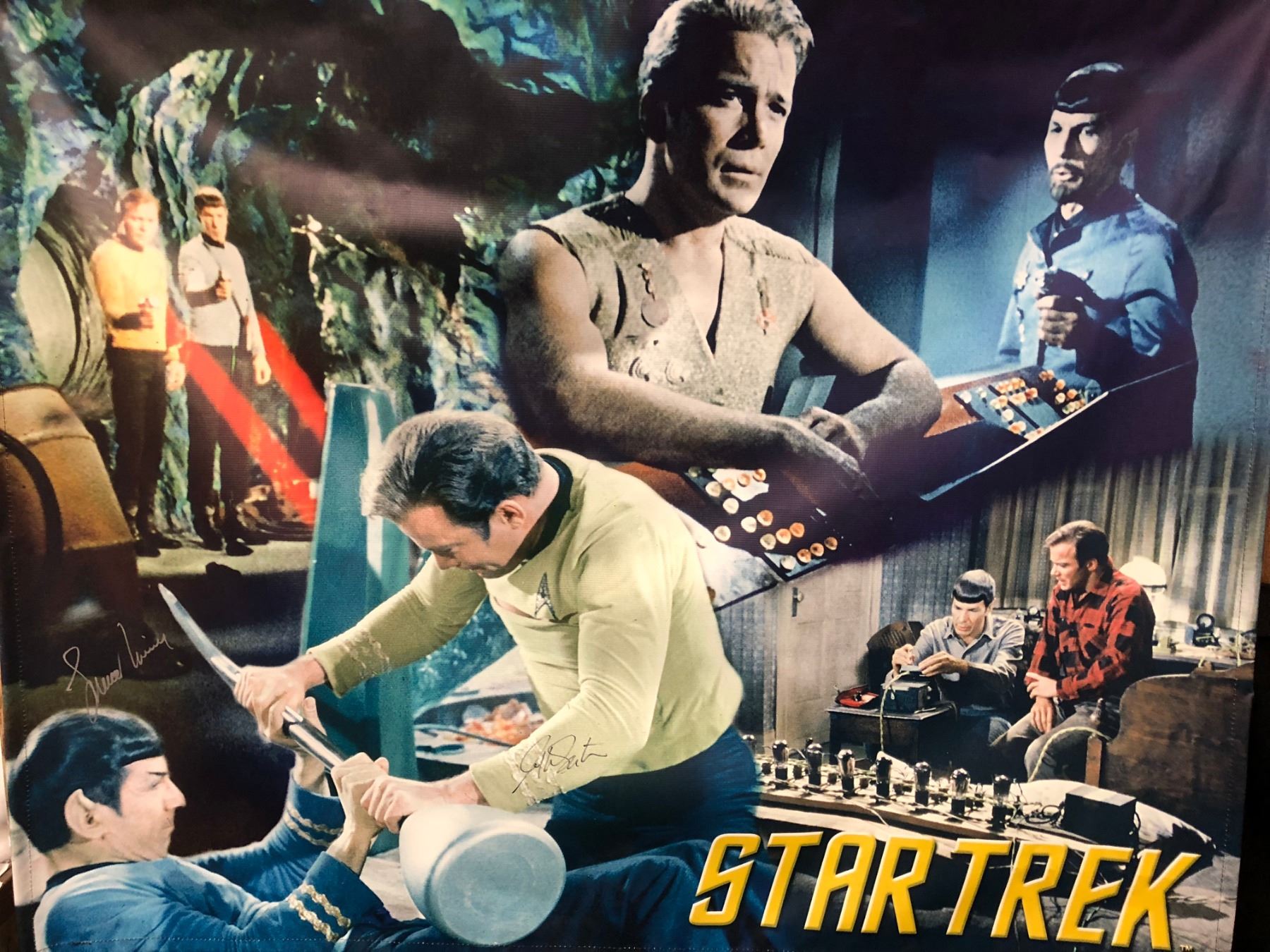 Leonard Nimoy & William Shatner AUTOGRAPHED 48" X 60" STAR TREK BANNER ...