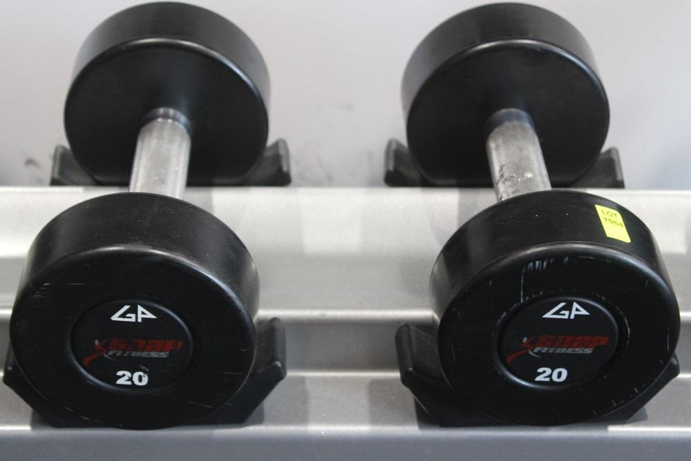 PAIR OF 20LB GP DUMBBELLS pair-of-20lb-gp-dumbbells