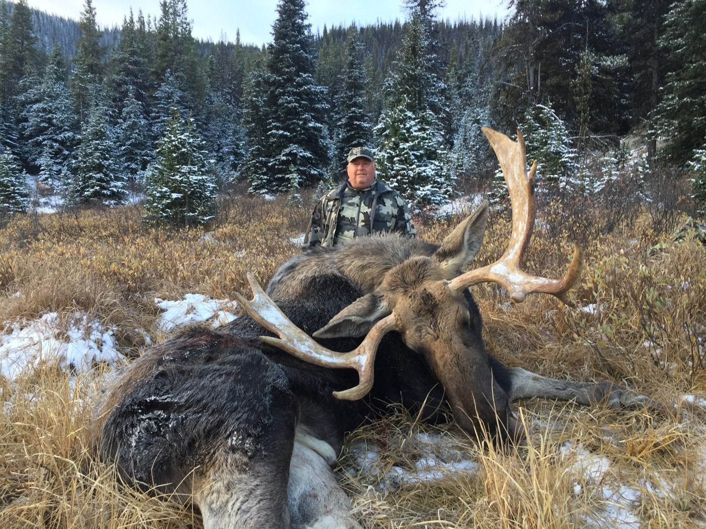 Shiras Moose Hunt