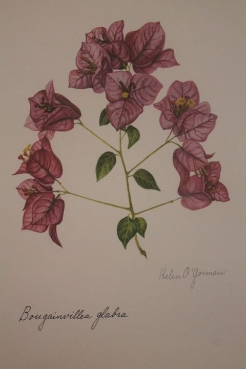 Hand Signed 1961 Litho Helen O'Gorman