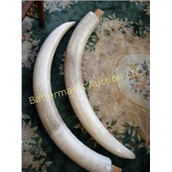 Elephant Tusks, Replicas