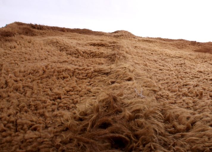 Antique Unique Buffalo Hide Carriage Lap Blanket