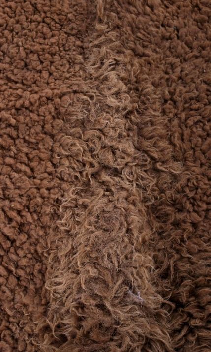 Antique Unique Buffalo Hide Carriage Lap Blanket