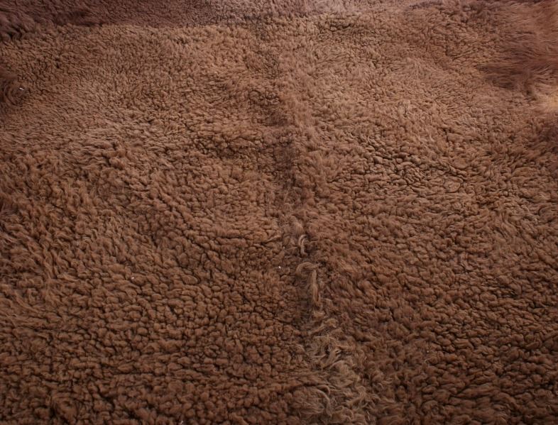 Antique Unique Buffalo Hide Carriage Lap Blanket