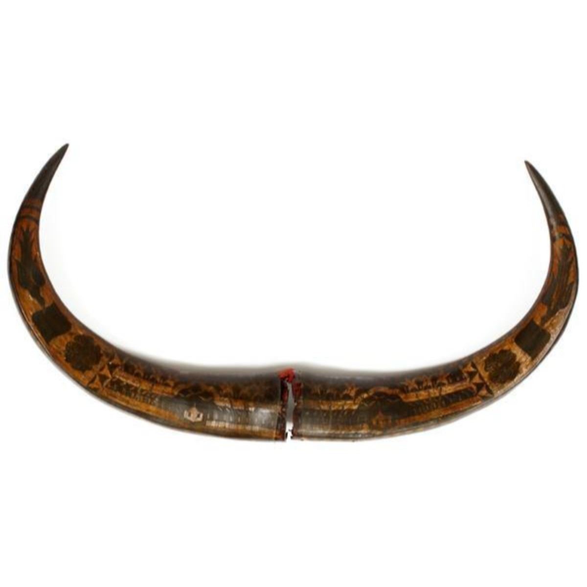Hand Carved Water Buffalo Horns