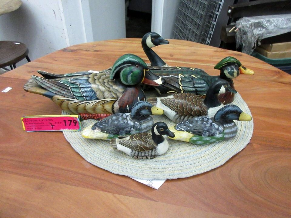 7 Duck Models