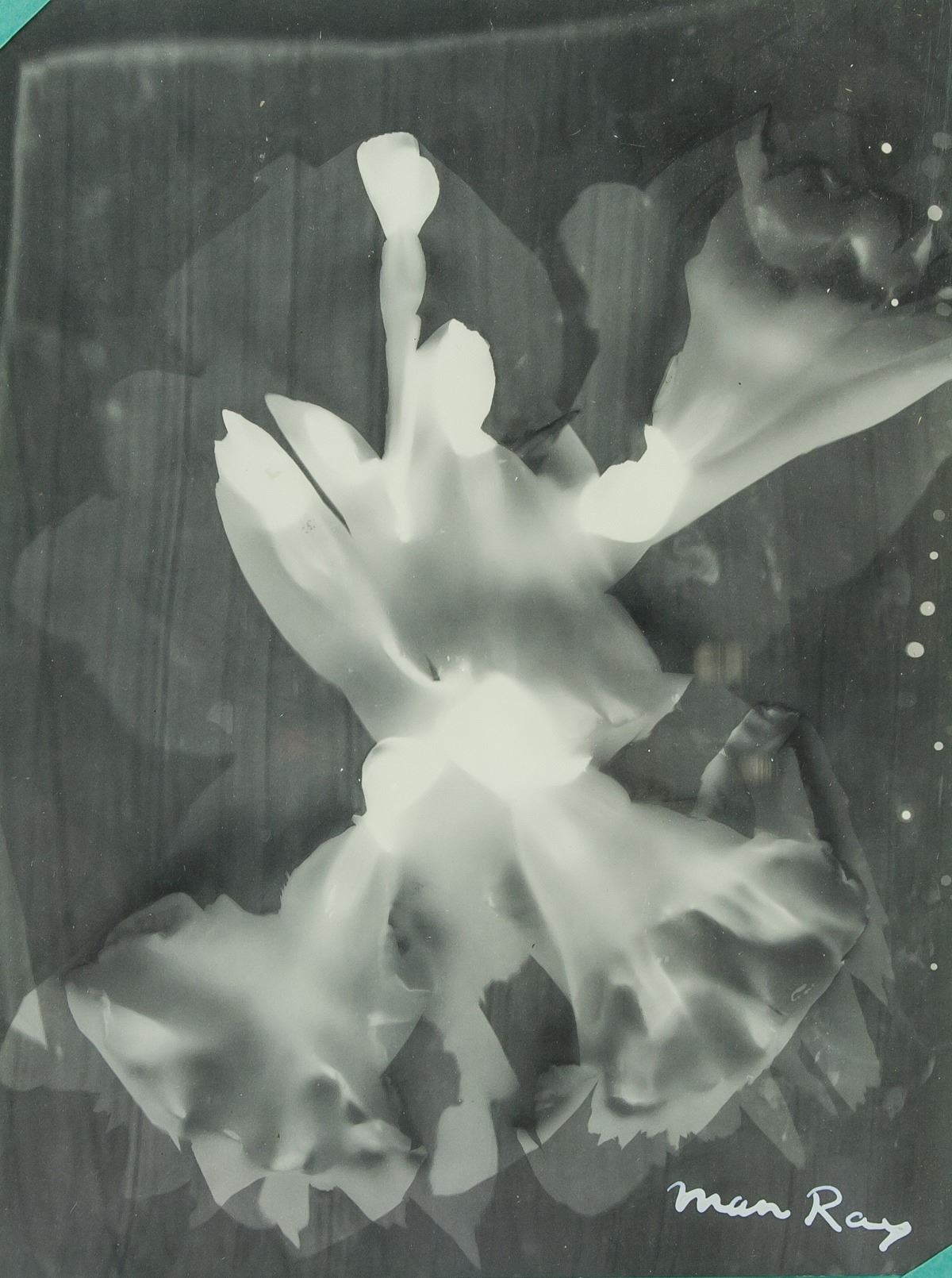 American Dada-Surrealist Photogram Signed Man Ray