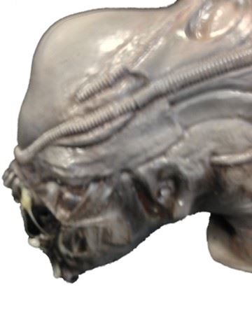 Aliens (1986) Alien Creature Head Movie Props
