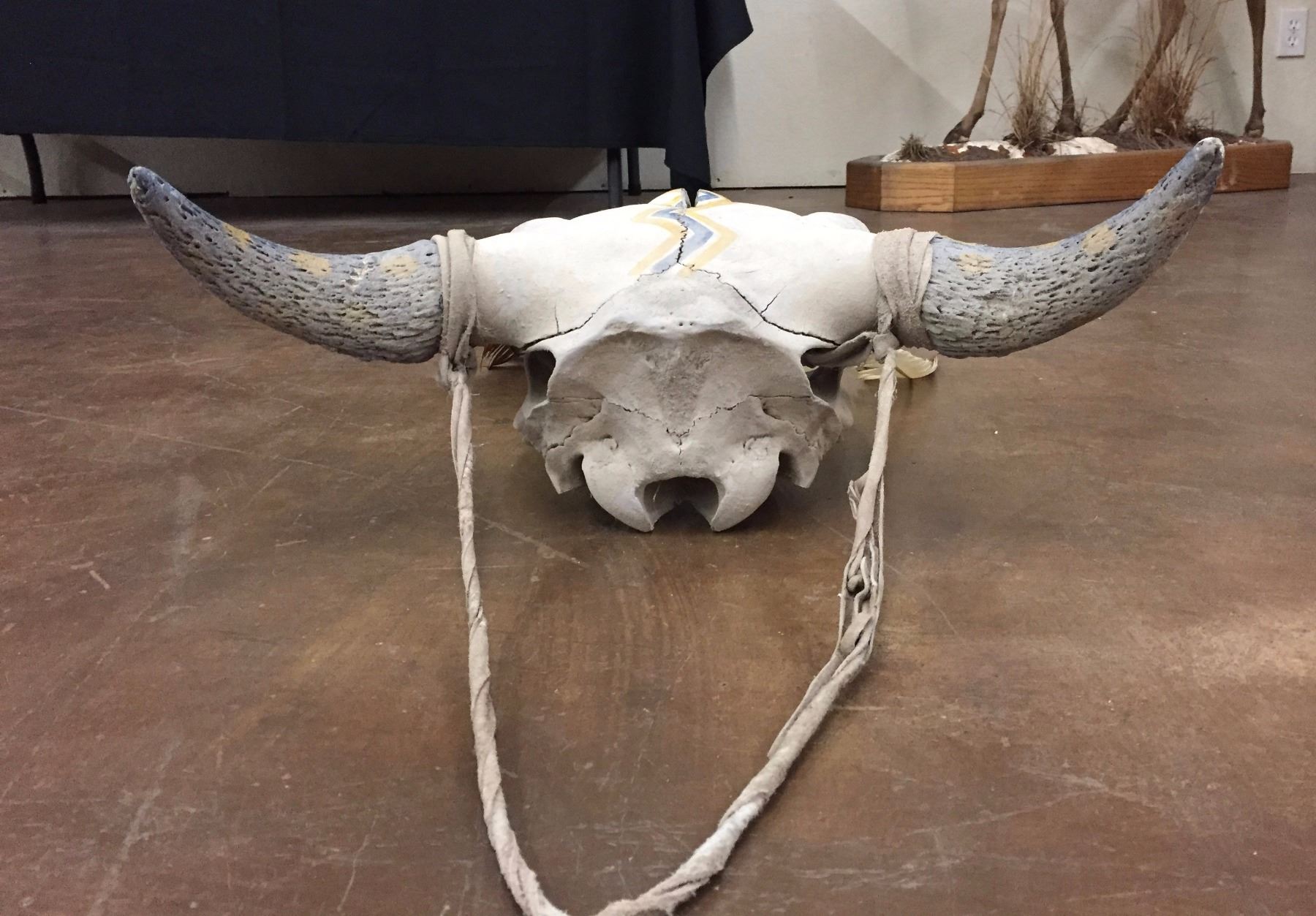 Vintage Hand-Painted Buffalo Skull
