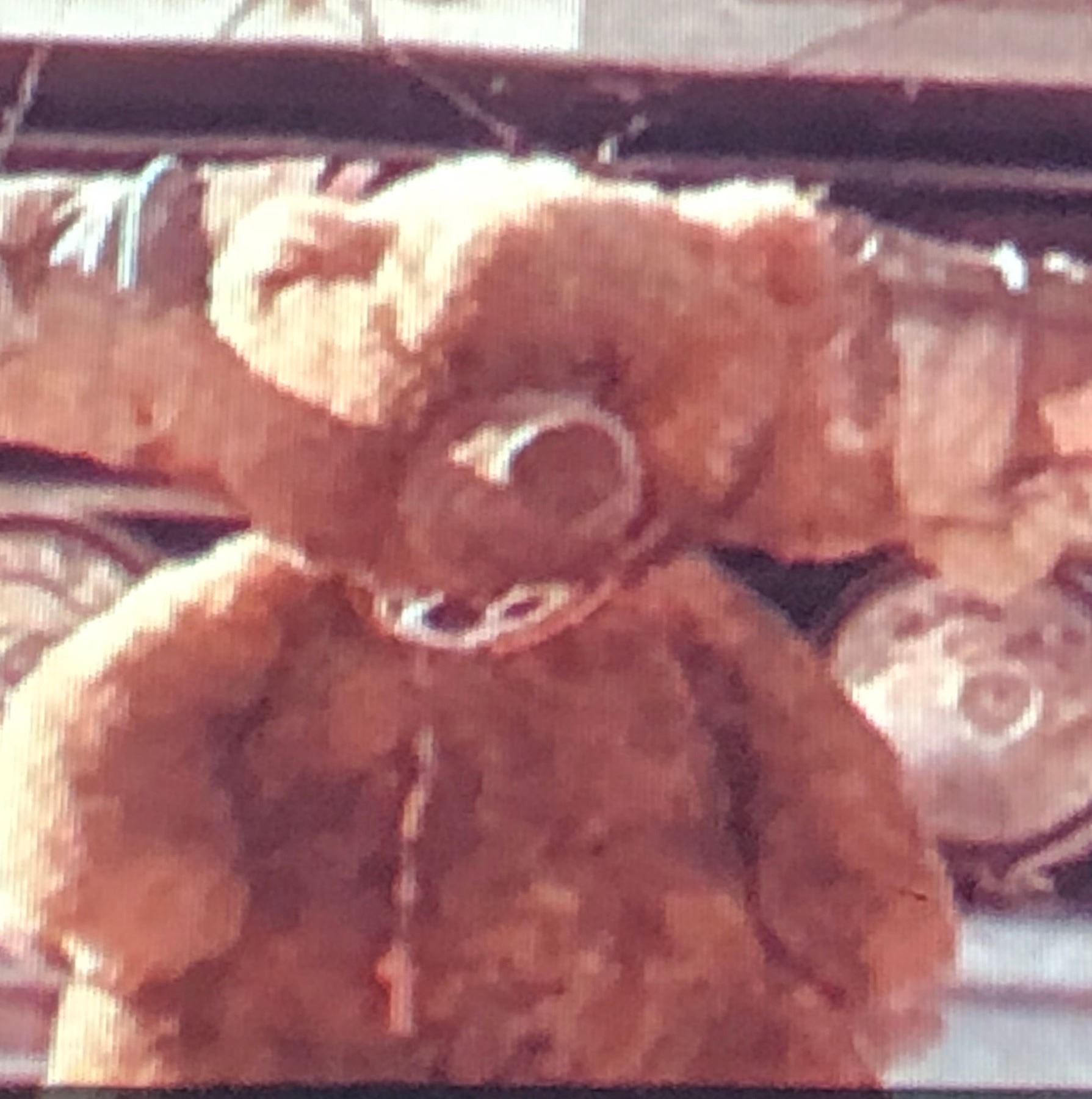 31 (Rob Zombie 2016) - Giant Teddy Bear From Front of Camper + Beads ...