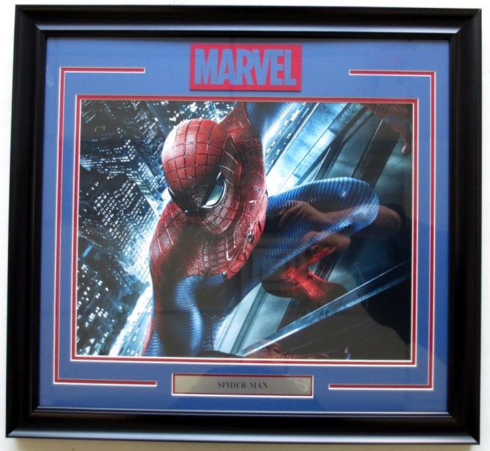 Spider-Man 26x27 Custom Framed Photo Display
