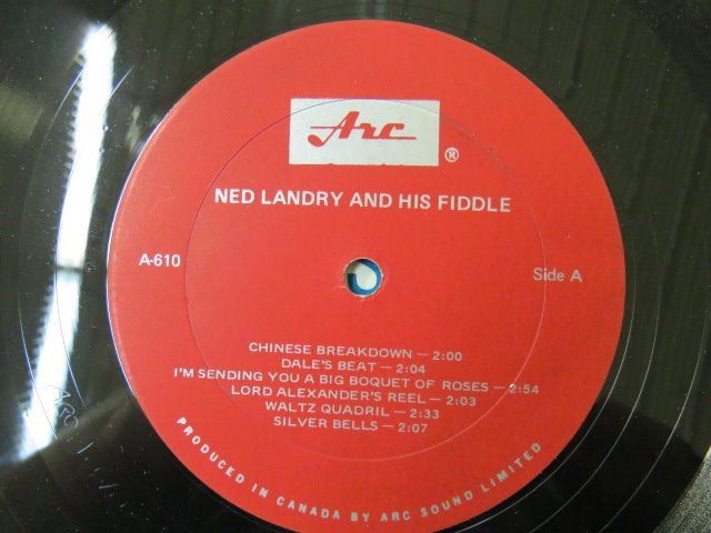 LOT OF 5 LP ALBUMS (LAWRENCE WELK, NED LANDRY, RHYTHM PALS, WALTER ...