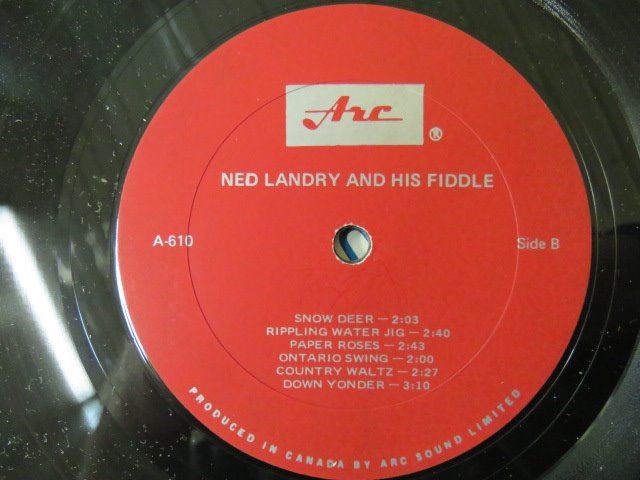 LOT OF 5 LP ALBUMS (LAWRENCE WELK, NED LANDRY, RHYTHM PALS, WALTER ...